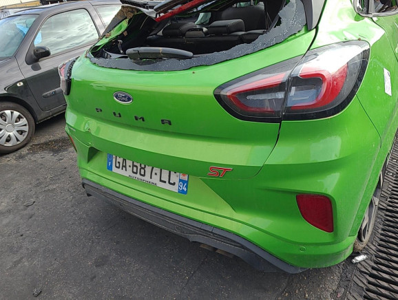 Bouton de warning FORD PUMA 2