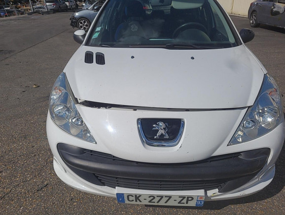 Capot PEUGEOT 206+